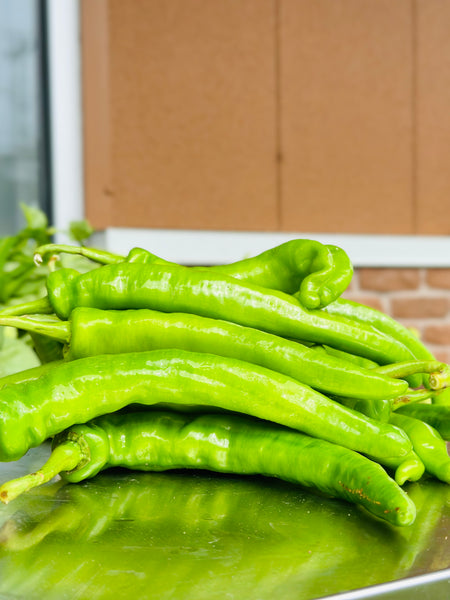 虎皮青椒green finger hot pepper （per LB）线上订单2LB起拍 – Panda Foods